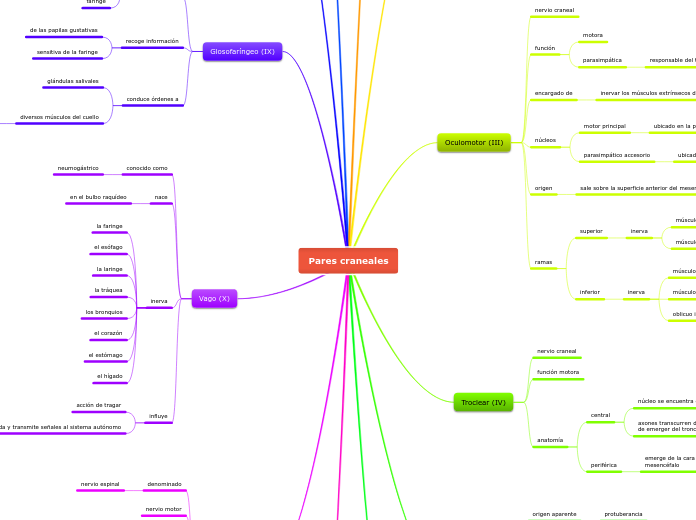 Pares craneales - Mind Map